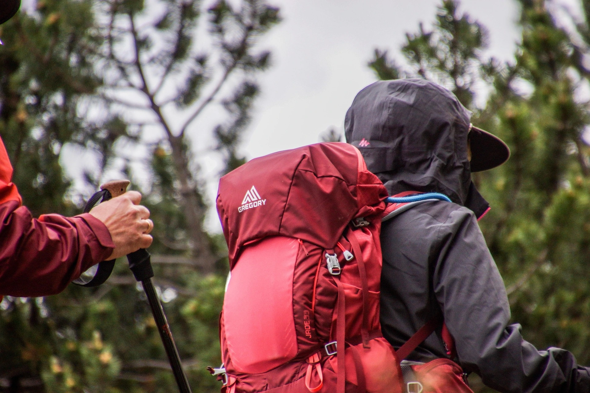 Staying Healthy While Backpacking: Essential Tips and Advice - MASTA